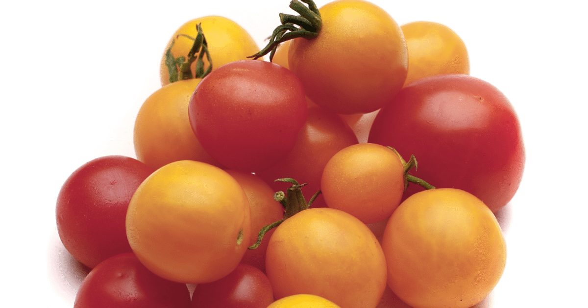 Cherry Tomatoes – Mixed – Sustenance